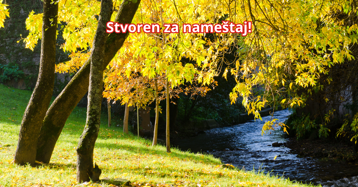 Jasen drvo - karakteristike, svojstva i primene u dizajnu nameštaja ...